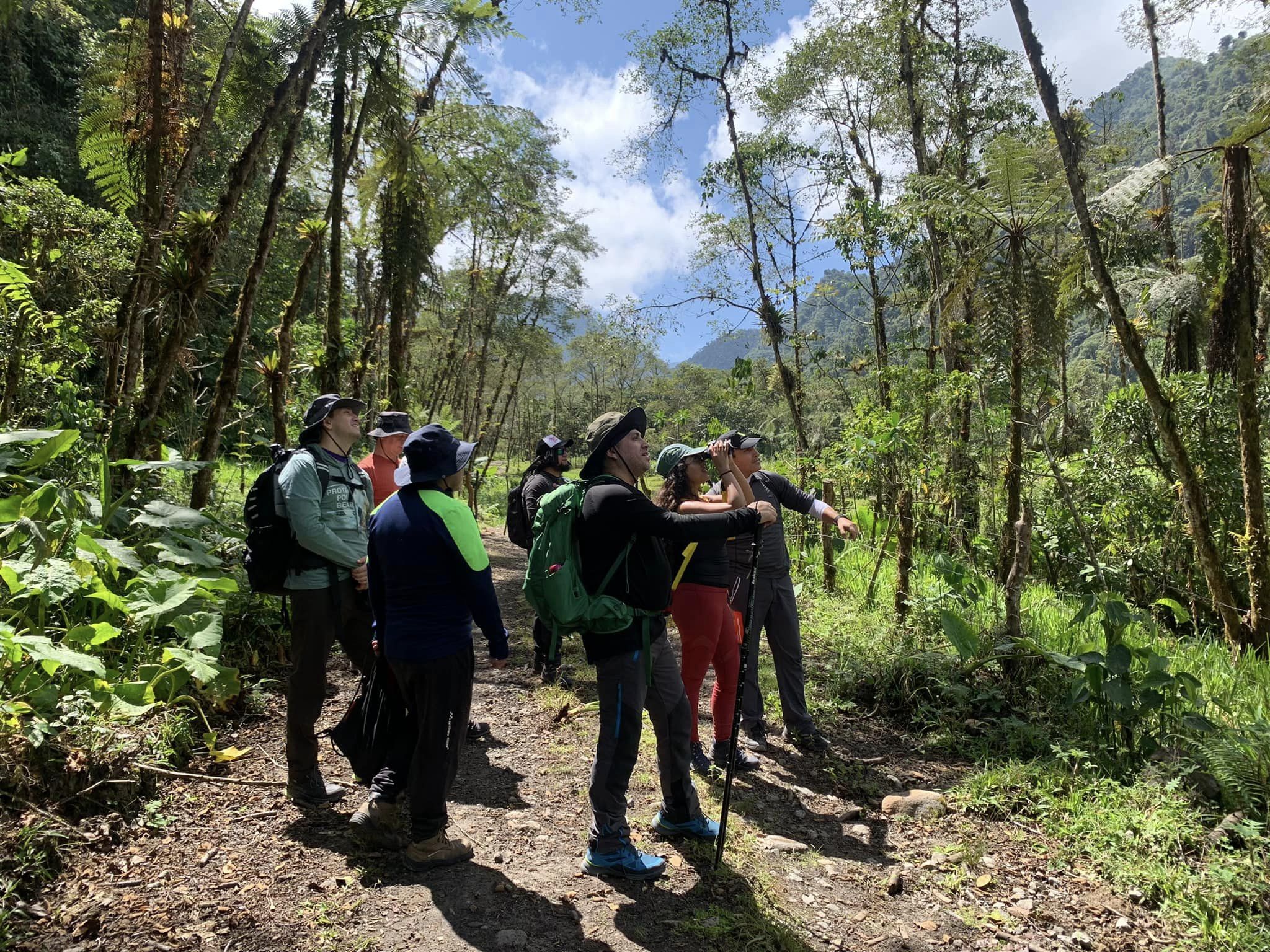 La Hojarasca – Turismo Lloa – Tu guía turística de Lloa